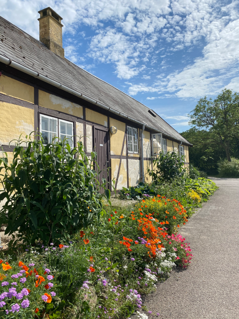 Afternoon Trip to Furesø - Swanky and Bold