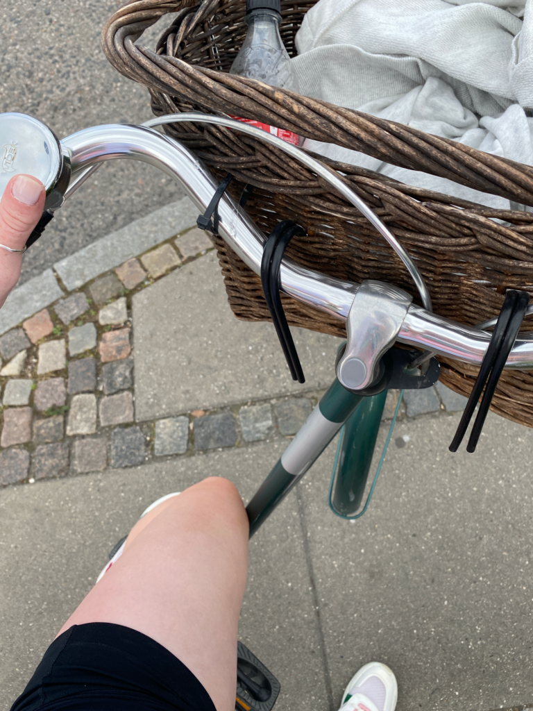 Afternoon Trip to Furesø - Swanky and Bold